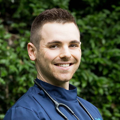 Meet the amazing veterinary team at Cockburn vets