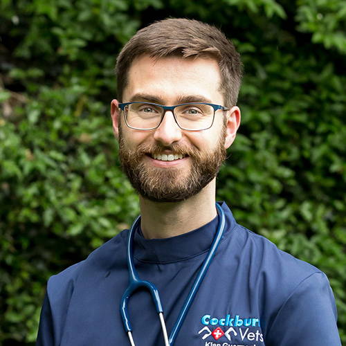 Meet the amazing veterinary team at Cockburn vets