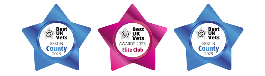 Meet the amazing veterinary team at Cockburn vets