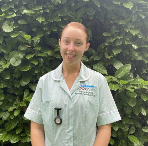 Meet the amazing veterinary team at Cockburn vets