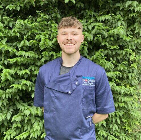 Meet the amazing veterinary team at Cockburn vets