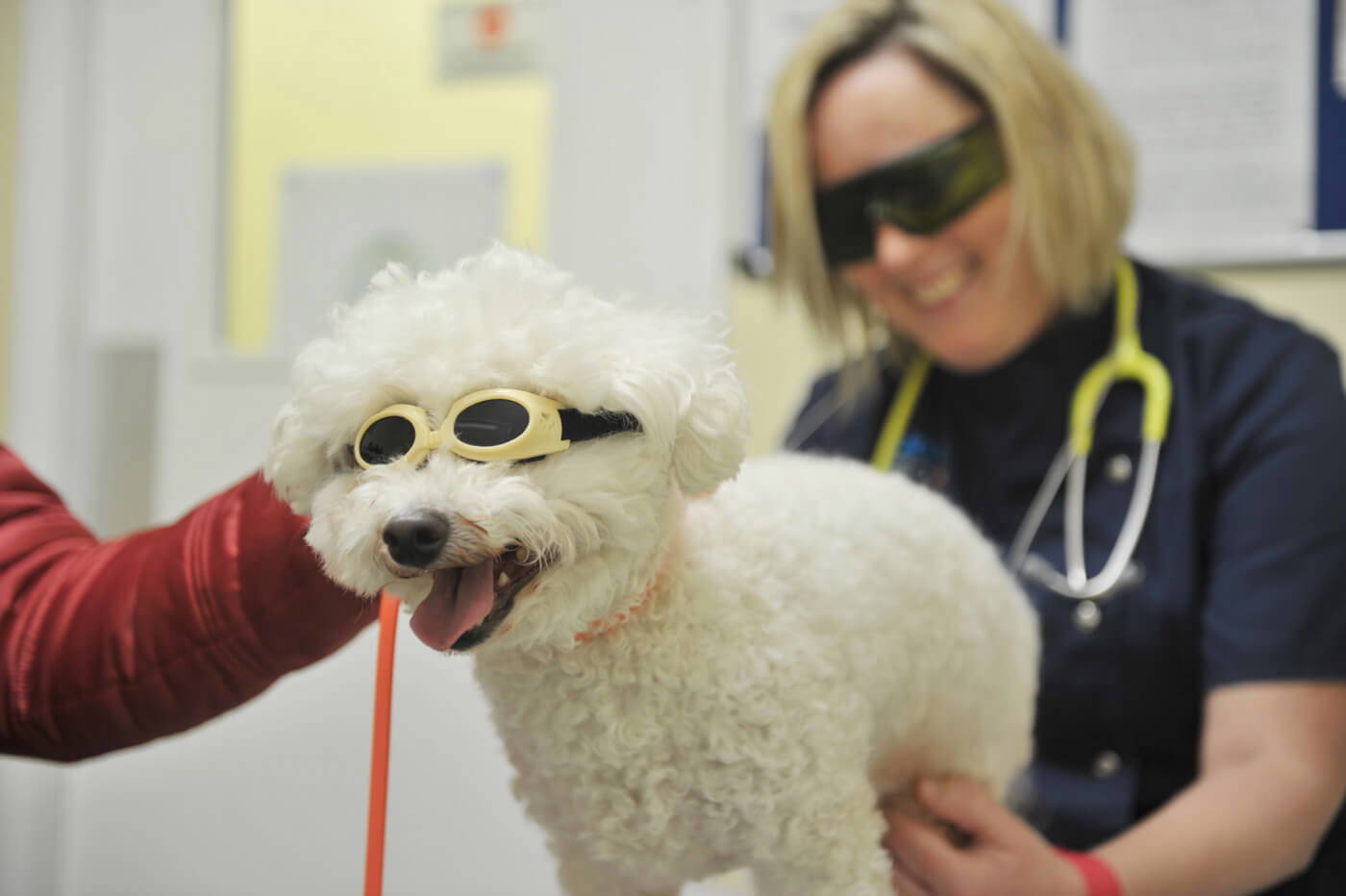 Independent Coalville Vet Practice | Cat & Dog Friendly | Cockburn Vets