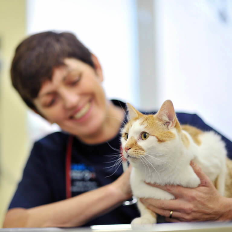 Coalville Vet Practice: Cockburn Vets based in Coalville near Ashby