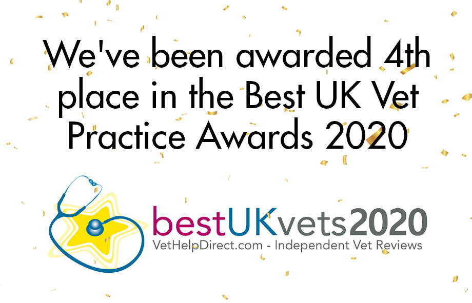 Cockburn Vets in Coalville named 4th Best UK Vet Practice out of 2500