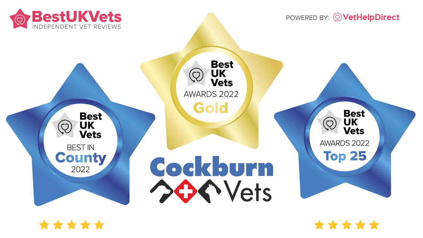 Cockburn Vets in Leicestershire awarded Best UK Vet for Second Year ...