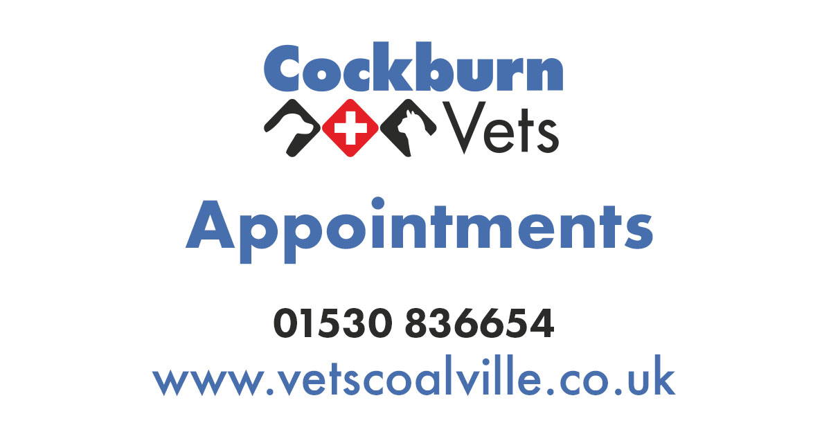 Book a Vet Appointment Online with Cockburn Vets | 01530 836654