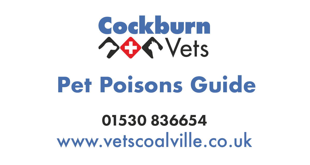 Pet Poisons Guide | Pet Toxicity Guide | Cockburn Vets