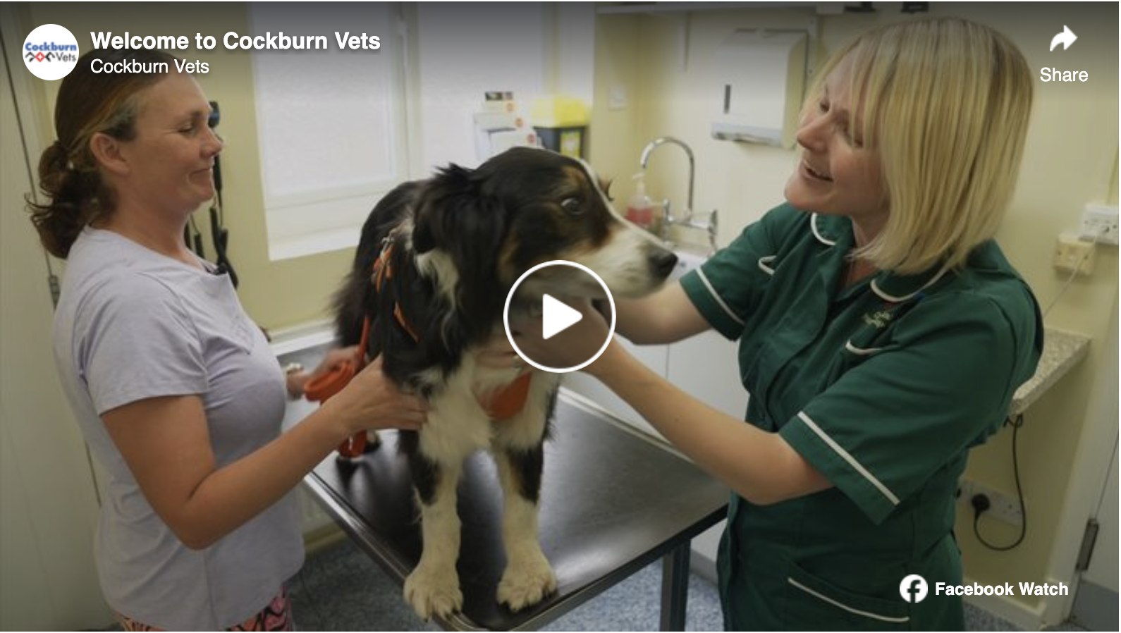 Video: Introduction to Cockburn Vets - 2024 - Cockburn Vets